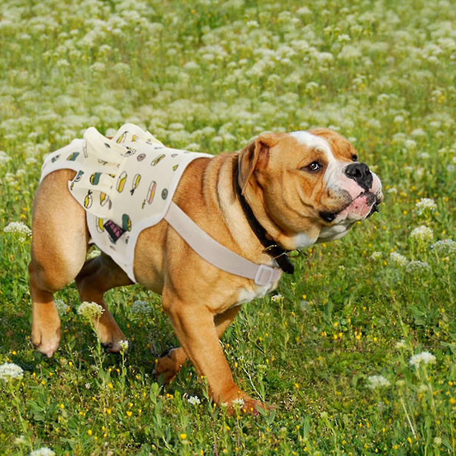 Dog Hygiene Briefs With Suspenders, Male And Female Dogs Adjustable Pet ...