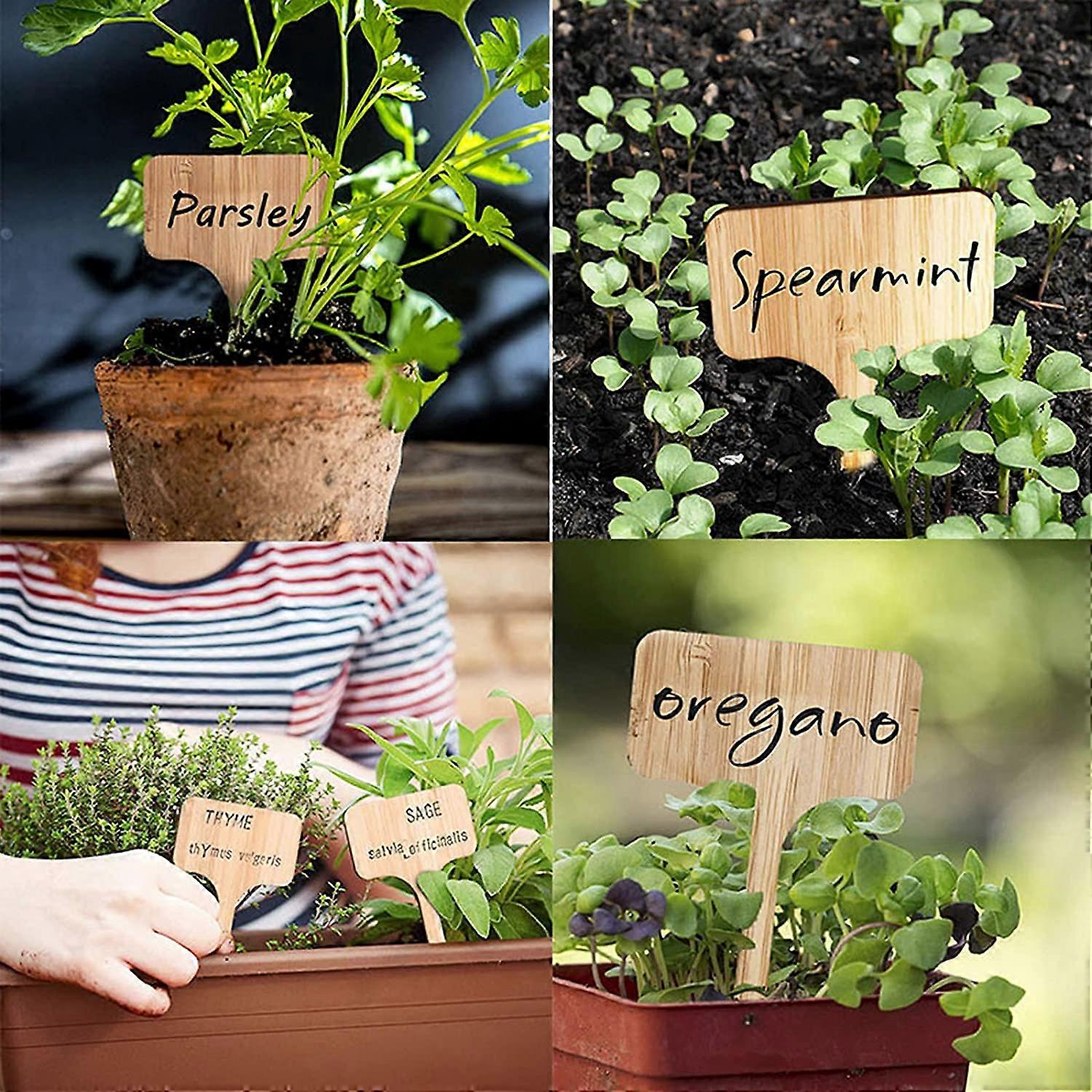 20PC Bamboo T-type Plant Tags Eco-friendly Wooden T-type Plant Tags ...