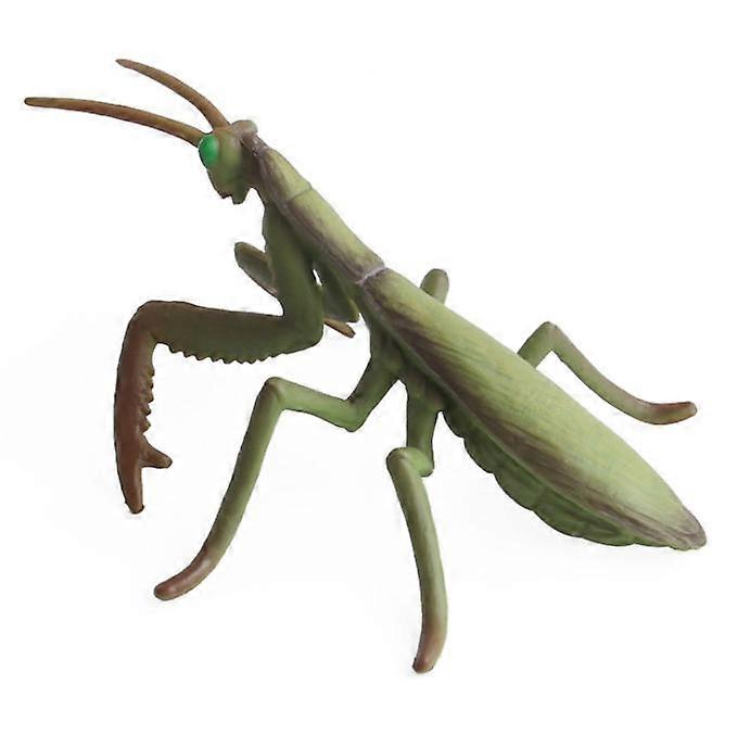 Insect Toy Wild Animal World Figures Model Insect Figures Insect Model ...