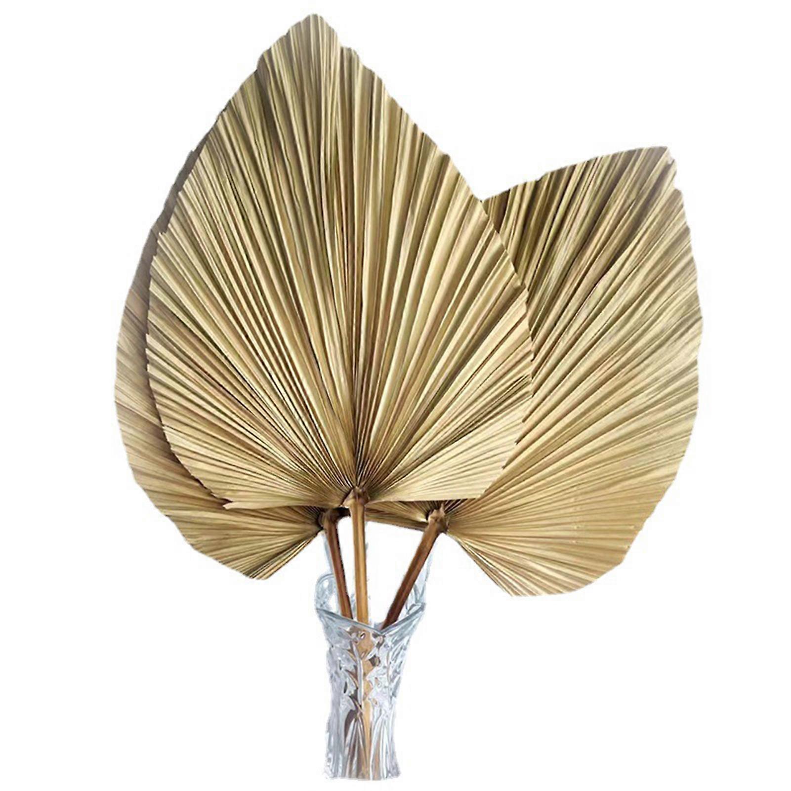 Large Natural Palm Leaf Decor Heart Round Shape Palm Fans for Home Wall ...