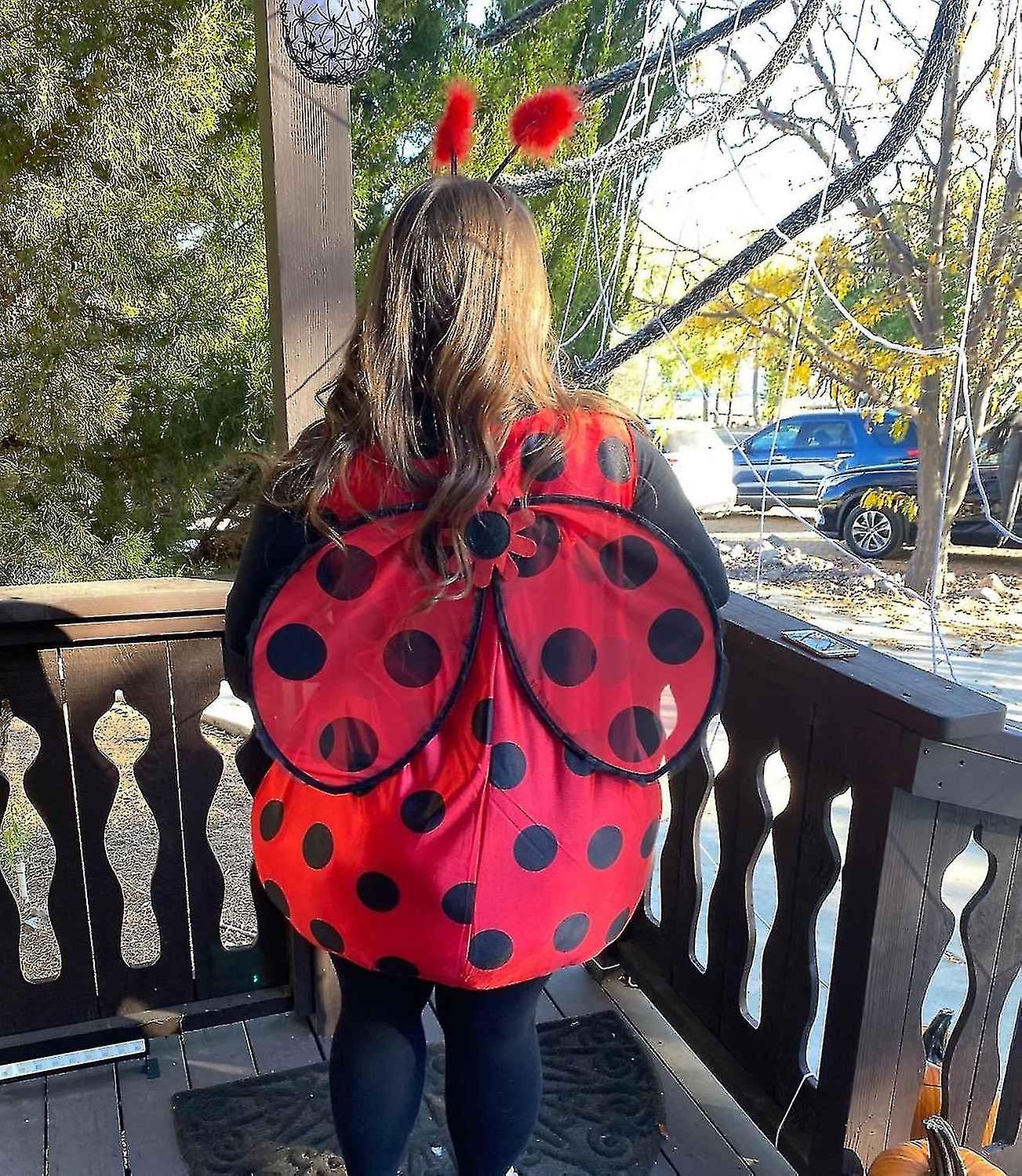Little Ladybug Costume Set Christmas Ladybug Cosplay Costume Ladybug ...