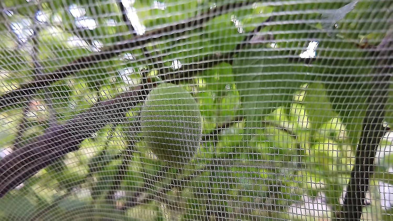 2 Pack Fruit Tree Netting 1m X 1.5m, Plant Insect Netting, Fine Mesh ...