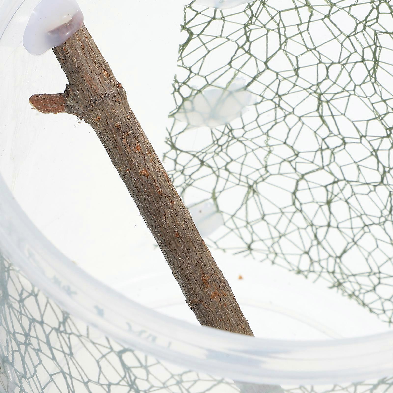 Mantis Breeding Box Pet Mantis Insect Box Home Insect Breeding Box ...