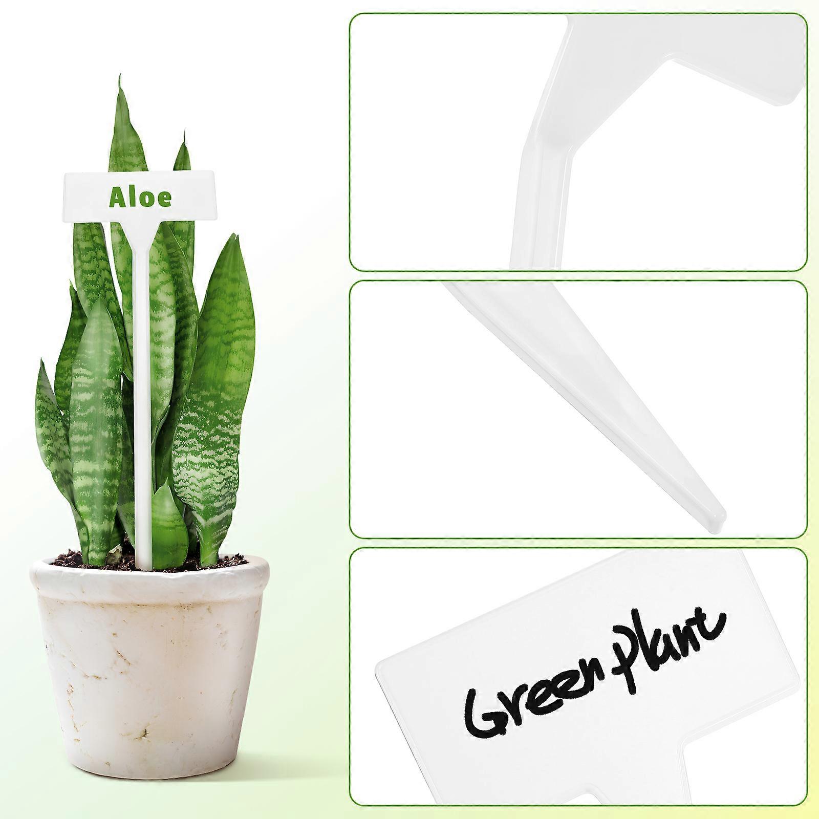 35pcs Plant Signs Blank Indoor Plant Tags Garden Markers Labeling Plant ...