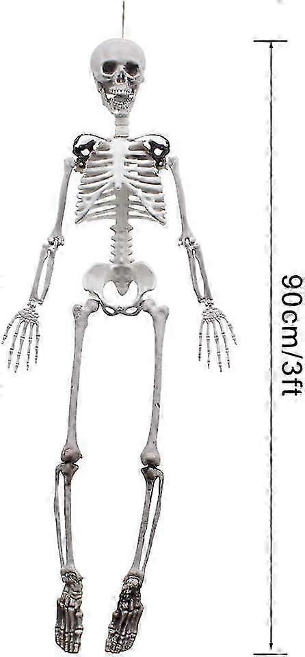 Halloween skeleton full body life like skeleton model with movable ...