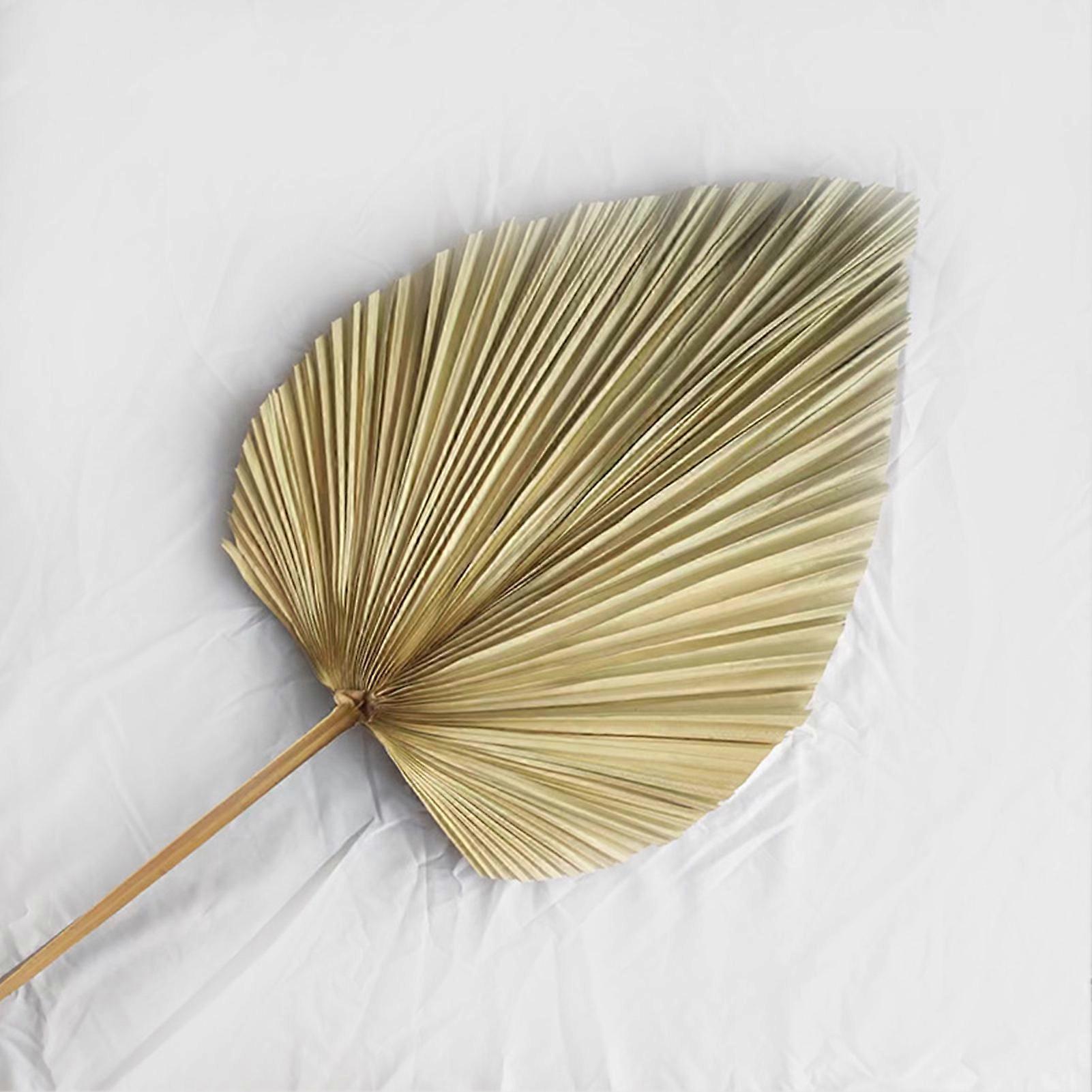 Large Natural Palm Leaf Decor Heart Round Shape Palm Fans for Home Wall ...