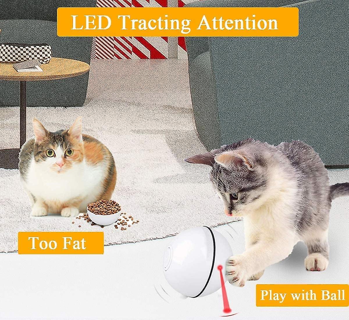 Interactive Cat Ball, Obstacle Sensing Kitten Toy With Usb Rechargeable ...