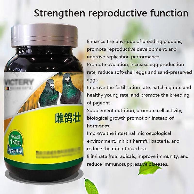 The hens, strong breeders, conditioning, increase eggs and do not lay ...