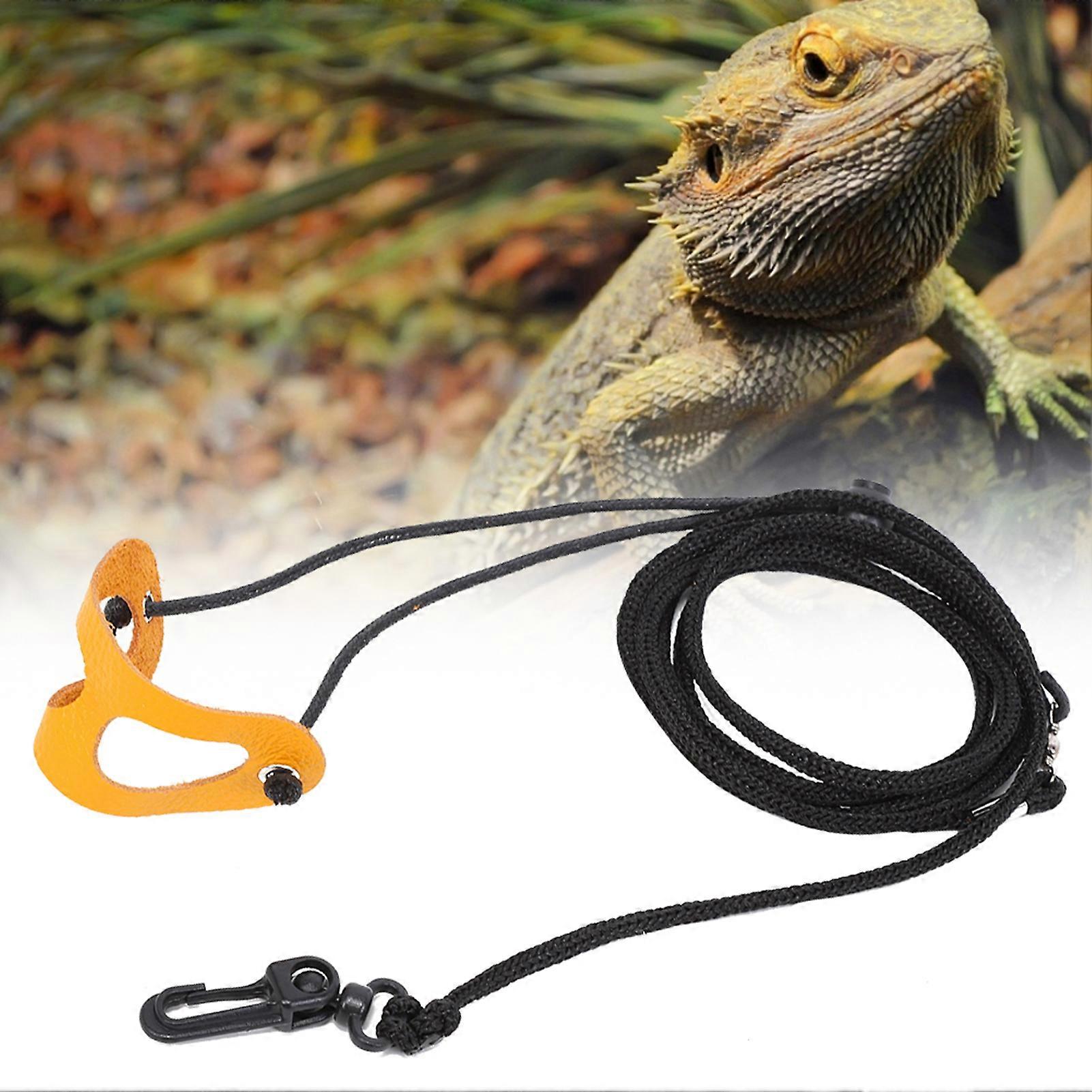 Pet Lizard Leash Adjustable Lightweight Harness Suitable for Reptiles ...