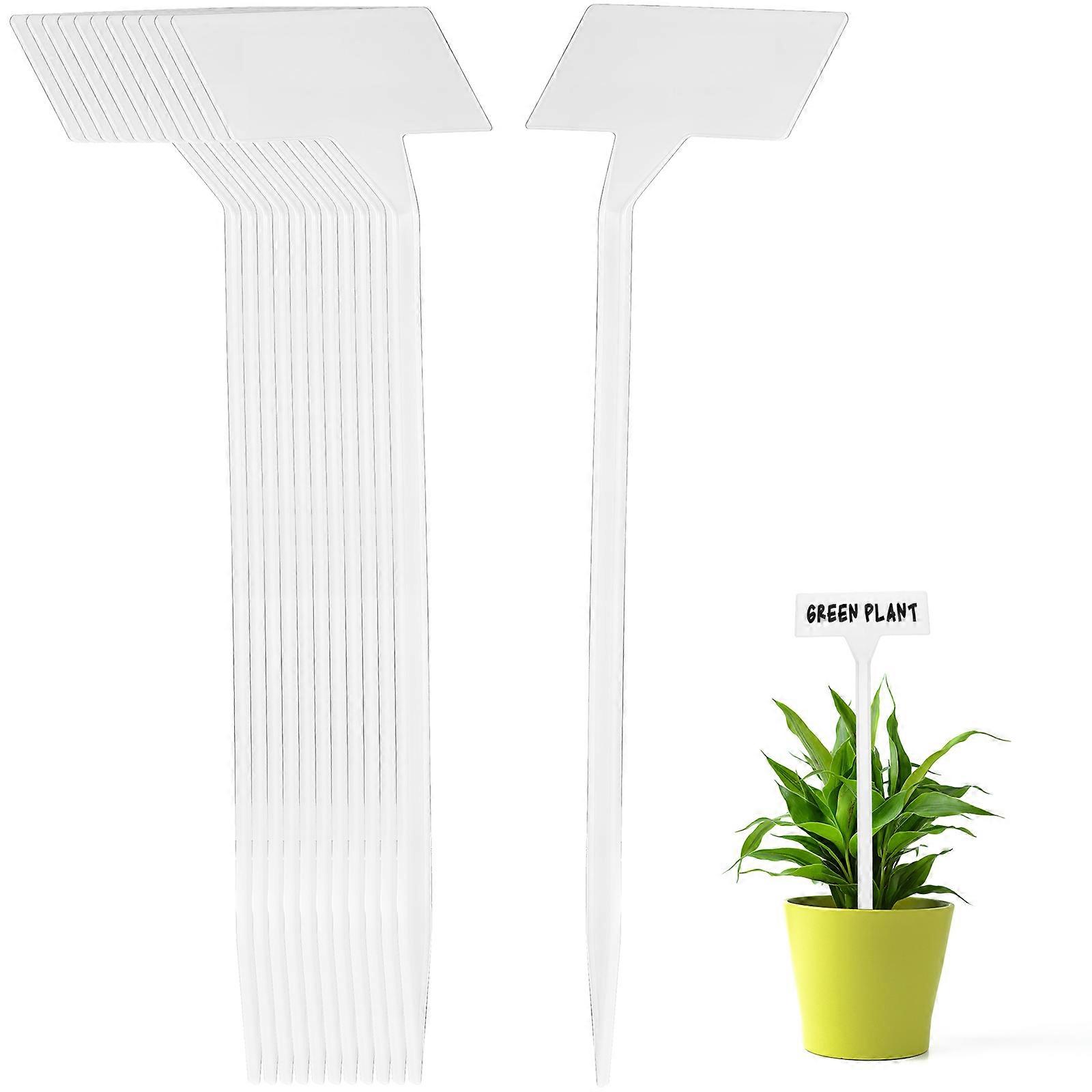 35pcs Plant Signs Blank Indoor Plant Tags Garden Markers Labeling Plant ...