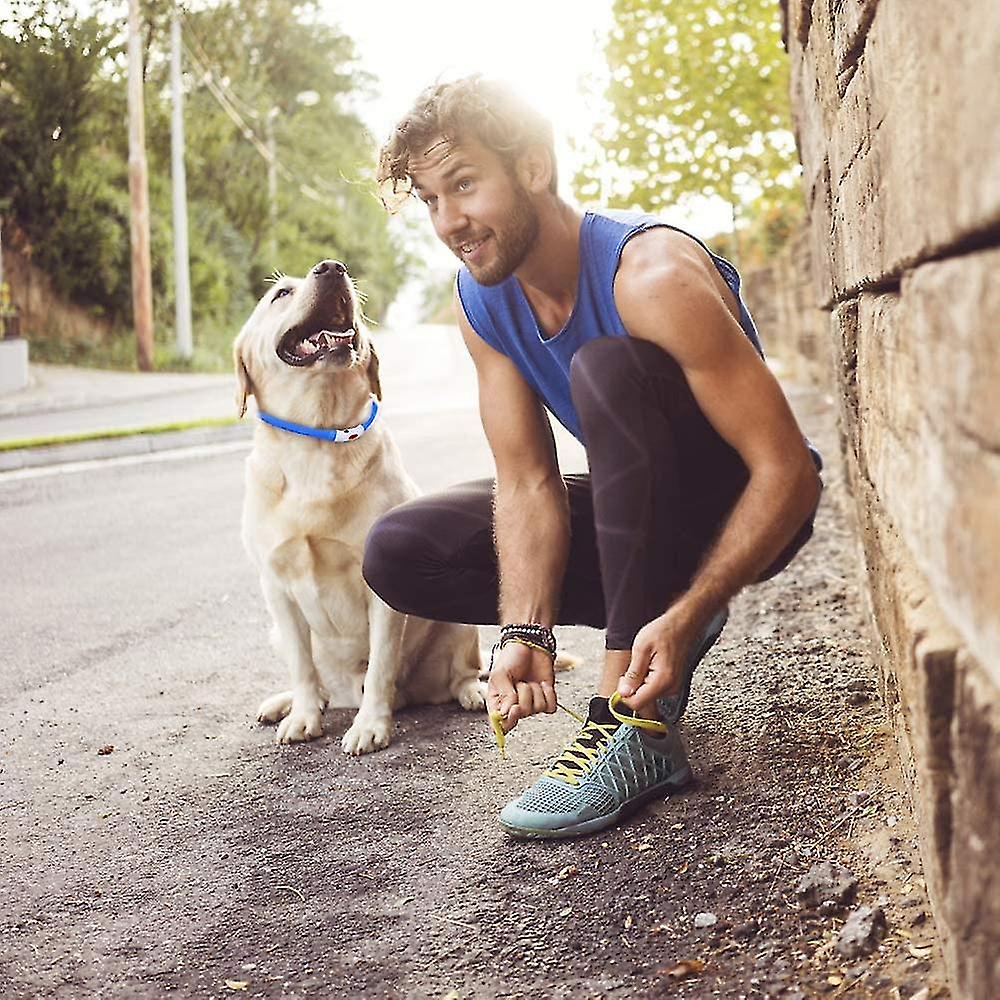 Bran Led Dog Collar, Light Up Dog Collars,rechargeable Dog Lights For ...