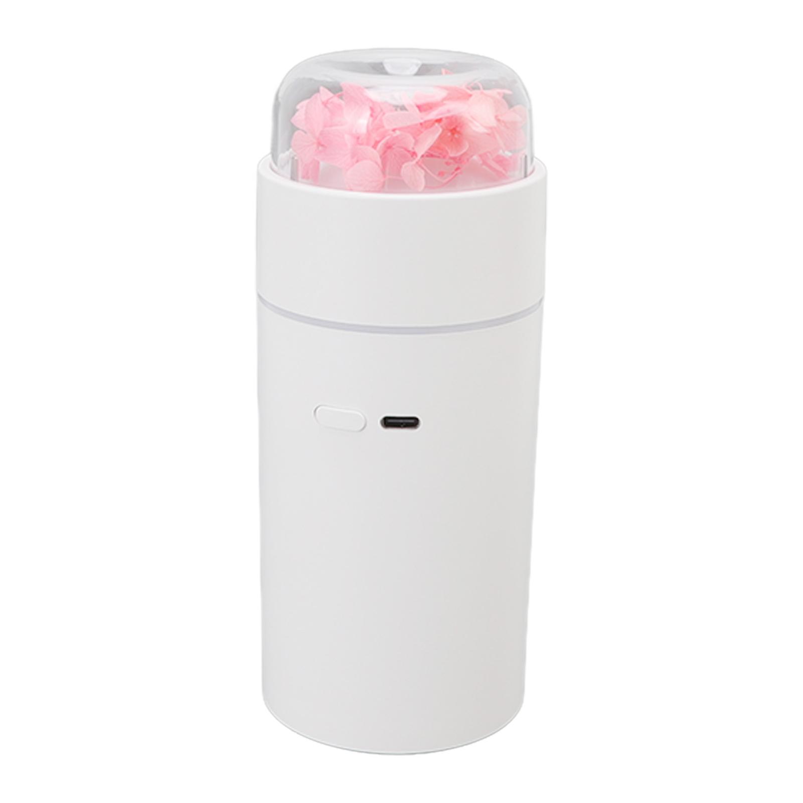 Compact Moisturizer For On-The-Go, Portable Mini Humidifier Offers Fine ...