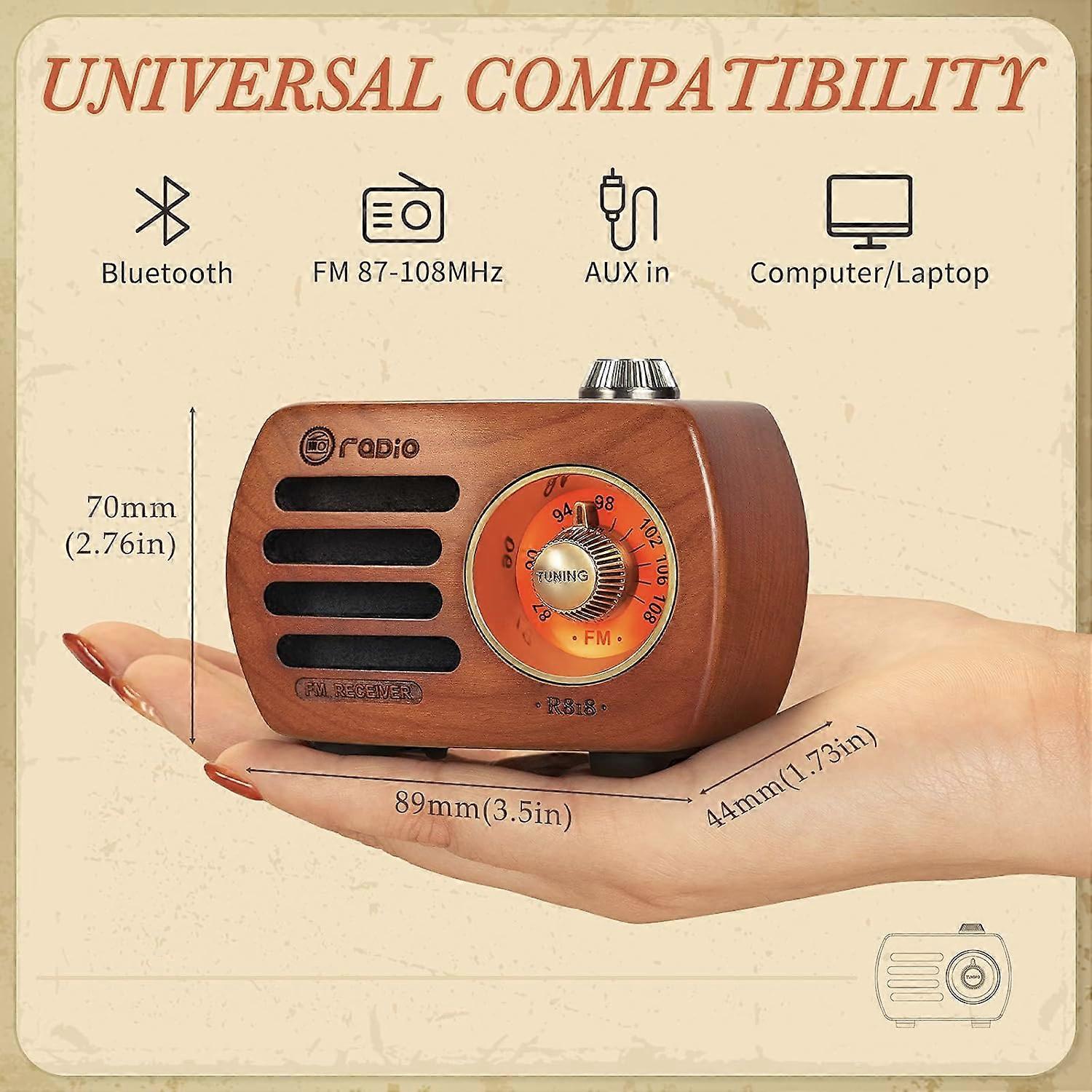 R-818 Portable Rechargeable Radio, Bluetooth 5.0 Mini Radio with FM ...