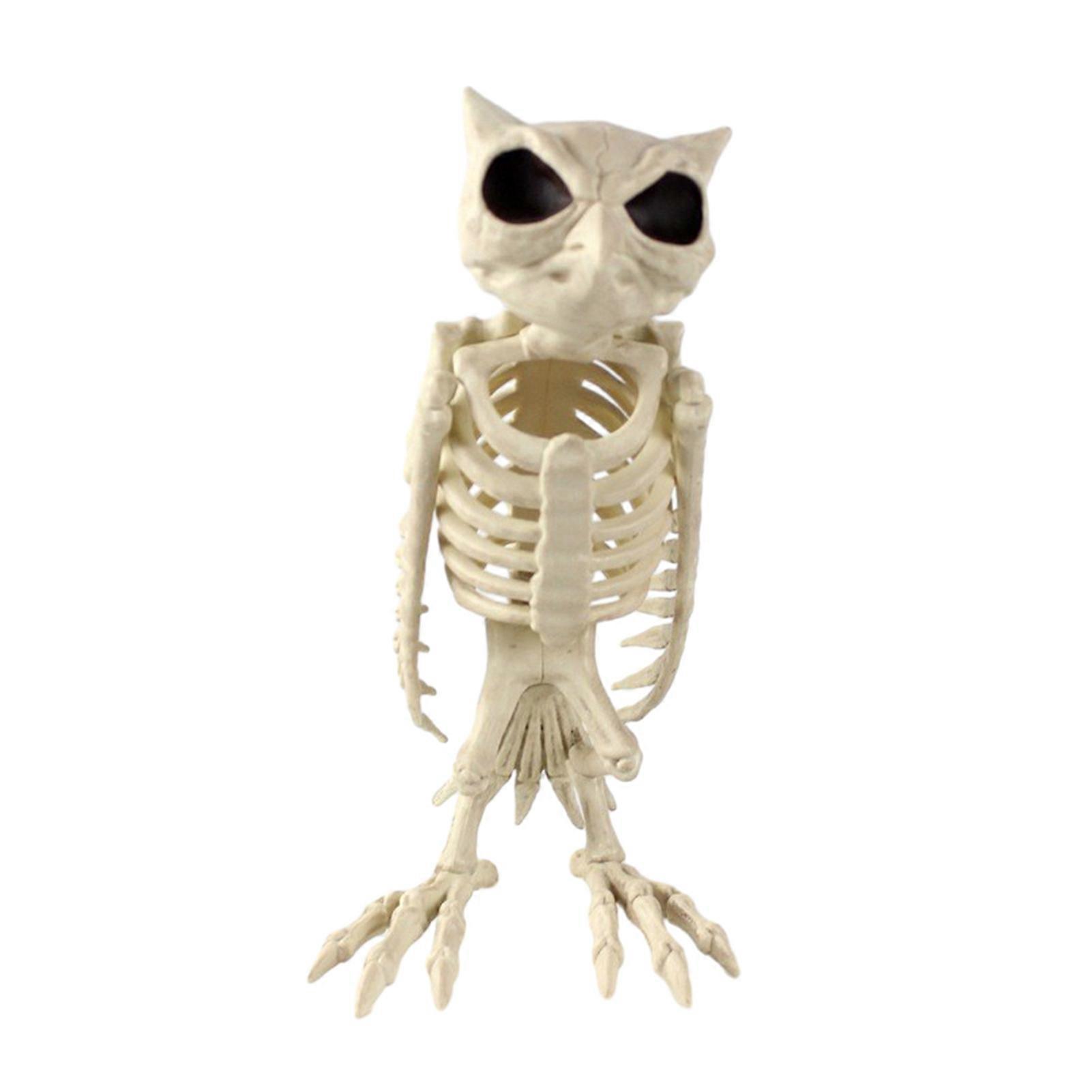 Halloween Skeleton Owl Decoration Realistic 12" Skeleton Animal Figure ...