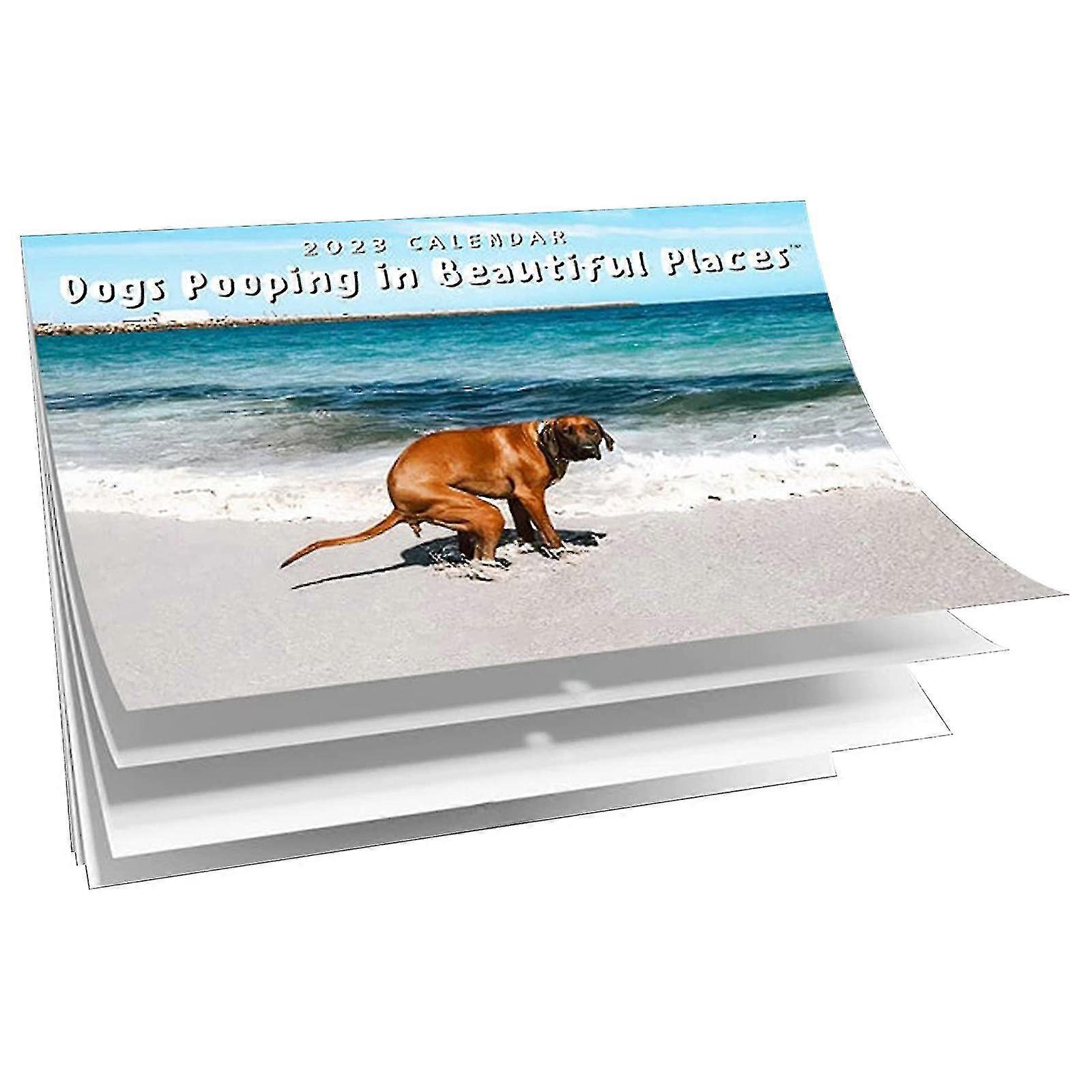 For Funny Dog Pooping Calendar 2024 Monthly Wall Hanging Calendar ...