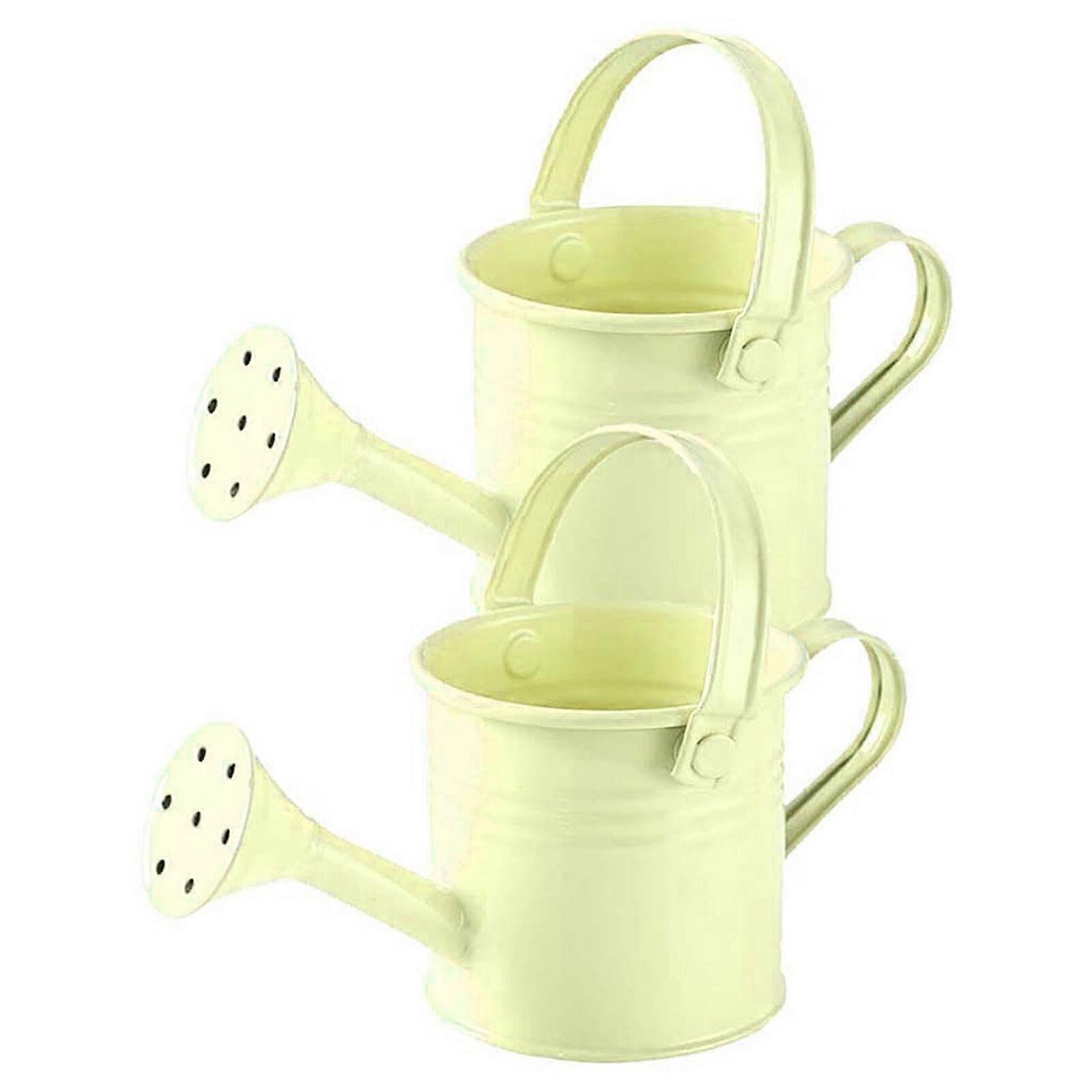Portable Metal Watering Can with Long Spout, Wrought Iron Handle for ...