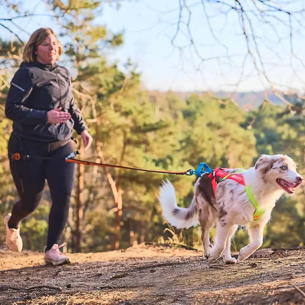 Non-Stop Dogwear Freemotion Harness 5.0 Limited Edition | Fruugo UK