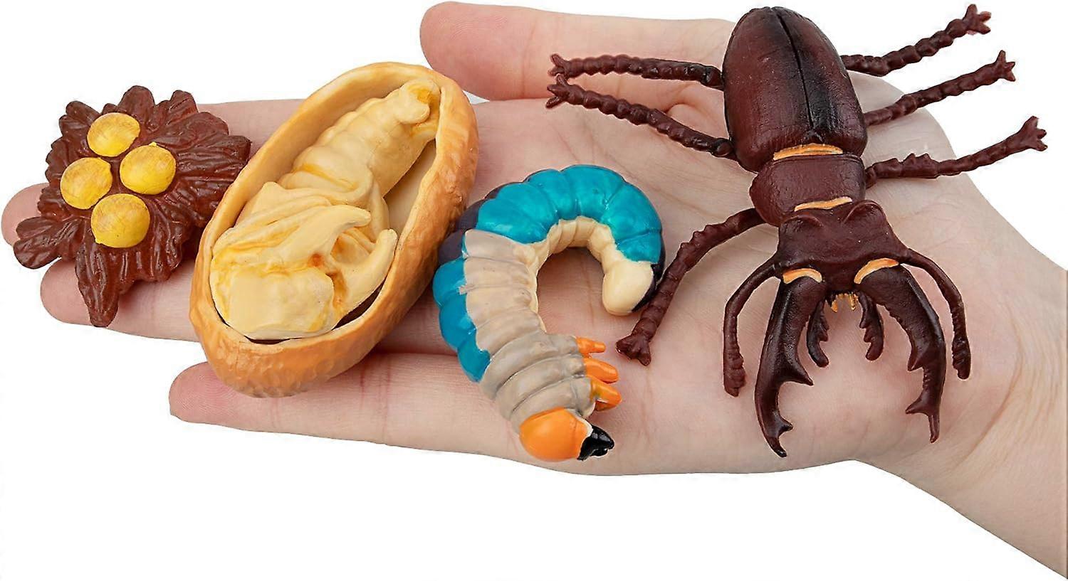 16PCS Insect Figurines Life Cycle of Stag Beetle,Honey Bee,Mantis,Ant ...