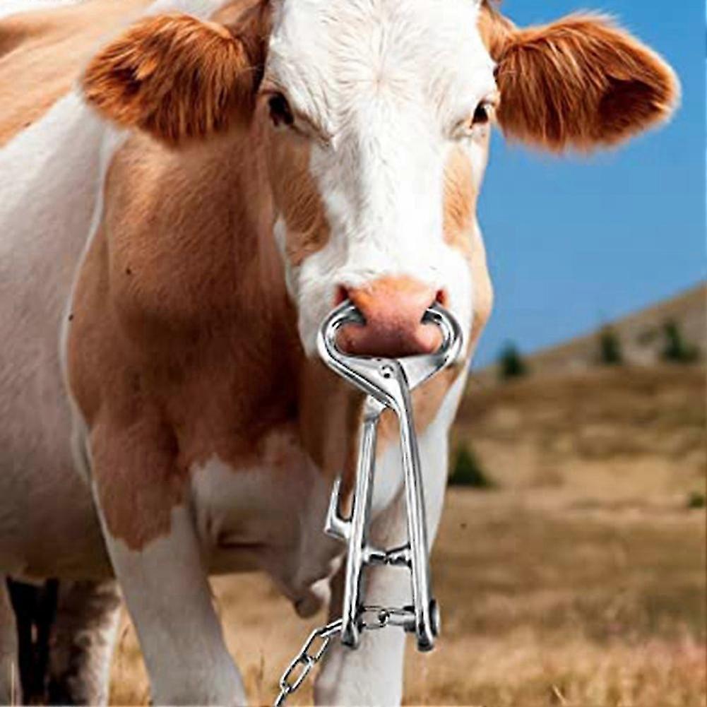 Stainless Steel Farm Cattle Livestock Tool Cow Nose Ring Pliers Bull ...