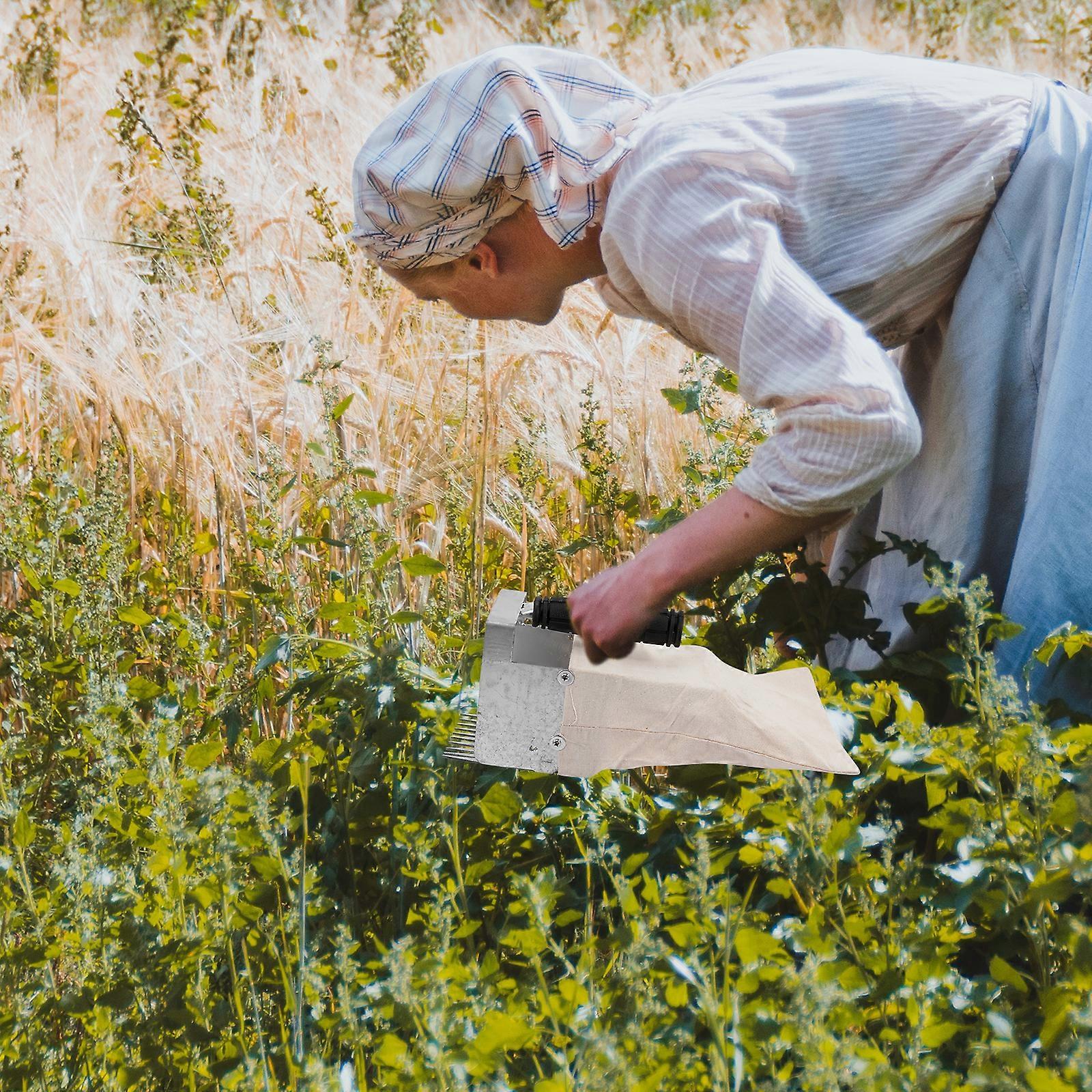 Berry Picker with Handle Berry Picker and Rake Daisy Flower Picker ...