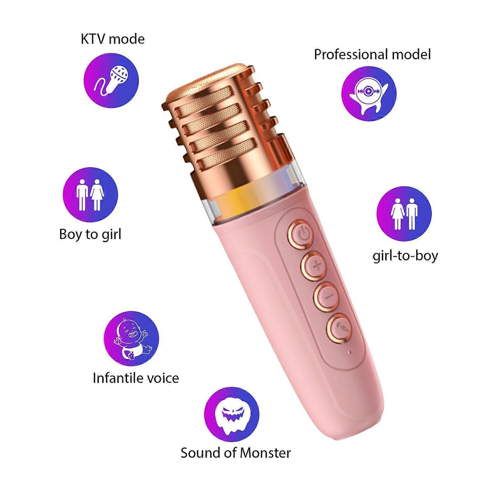 Karaoke Machine with 2 Wireless Microphones BT Microphone and Speaker ...