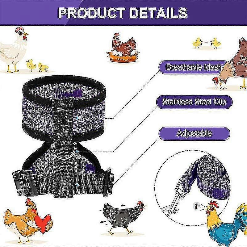 2pcs Chicken Harness And Leash, Modified Adjustable Breathable Harness ...