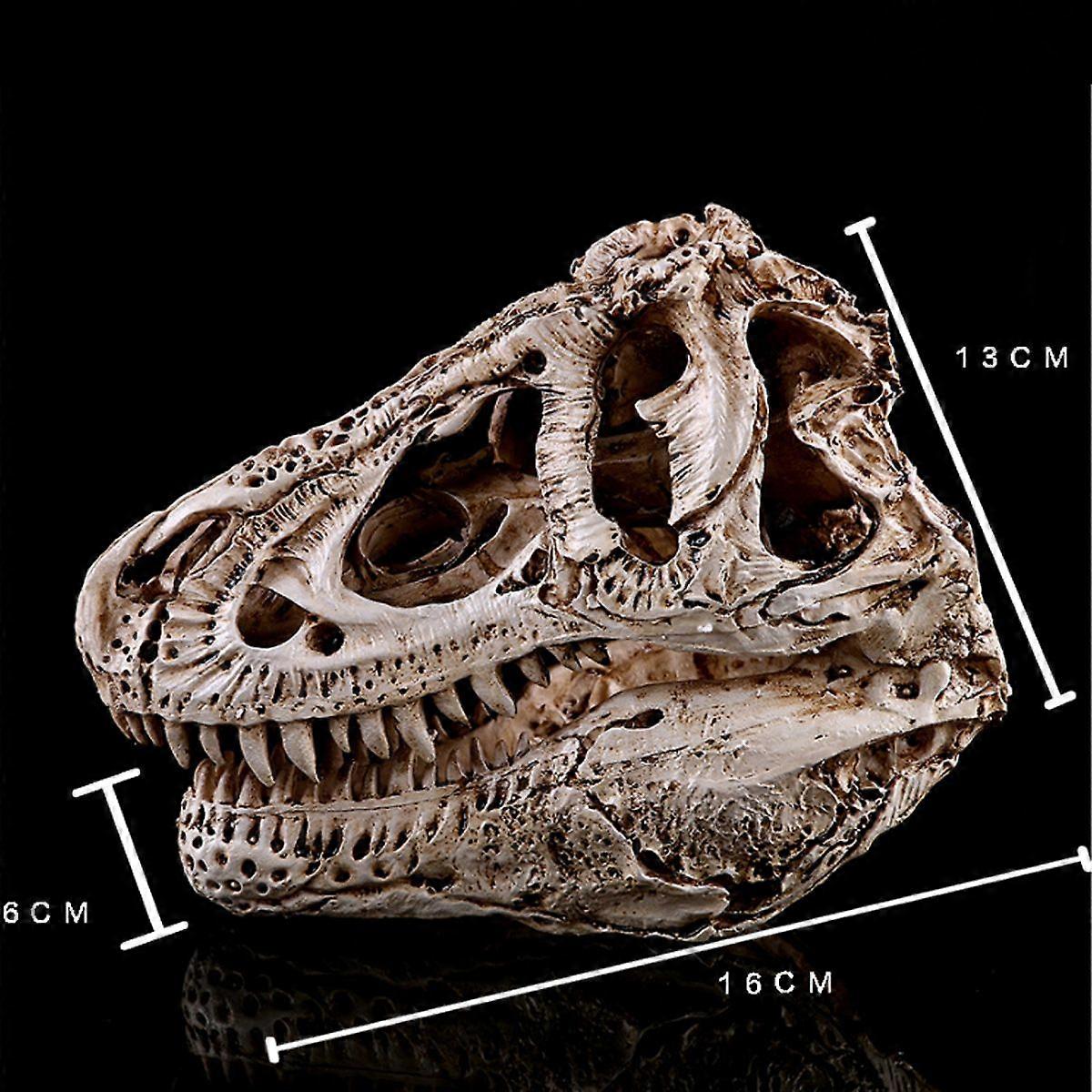 Tyrannosaur Skull T-Rex Skull Gifts Lifelike Resin Crafts Dinosaur ...