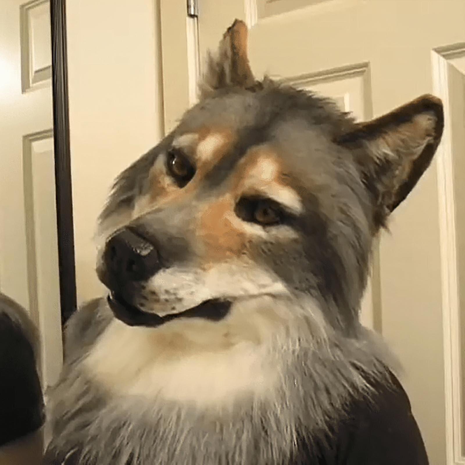 Latex Rubber Wolf Head Hair Mask Unisex Novelty Animal Full Mask ...