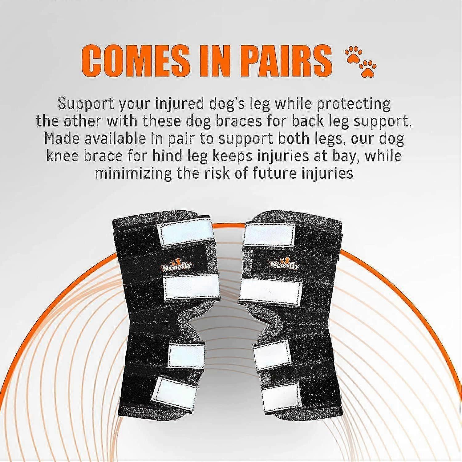Canine Rear Leg Brace with Reflective Straps - Hock Joint Support ...