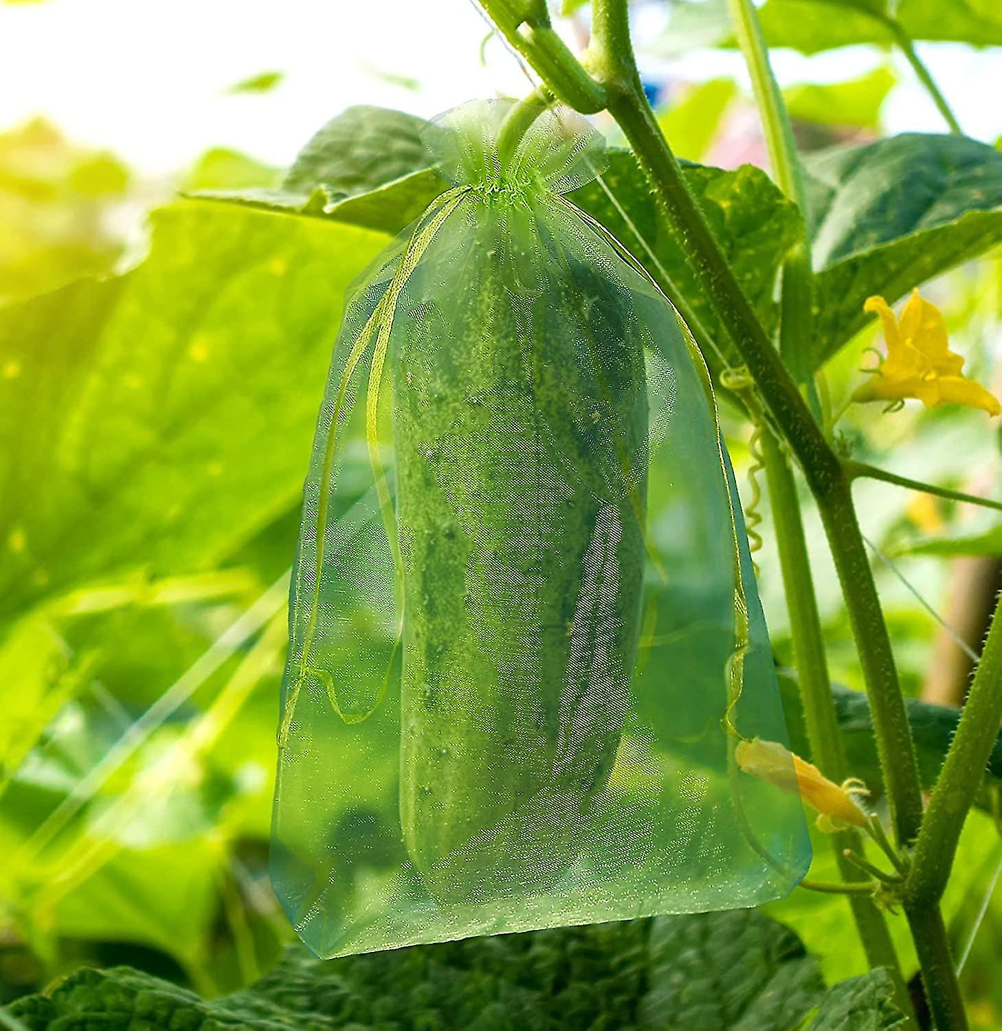 50 Pieces Grape Bunch Protection Bag, Organza Fruit Bag With ...