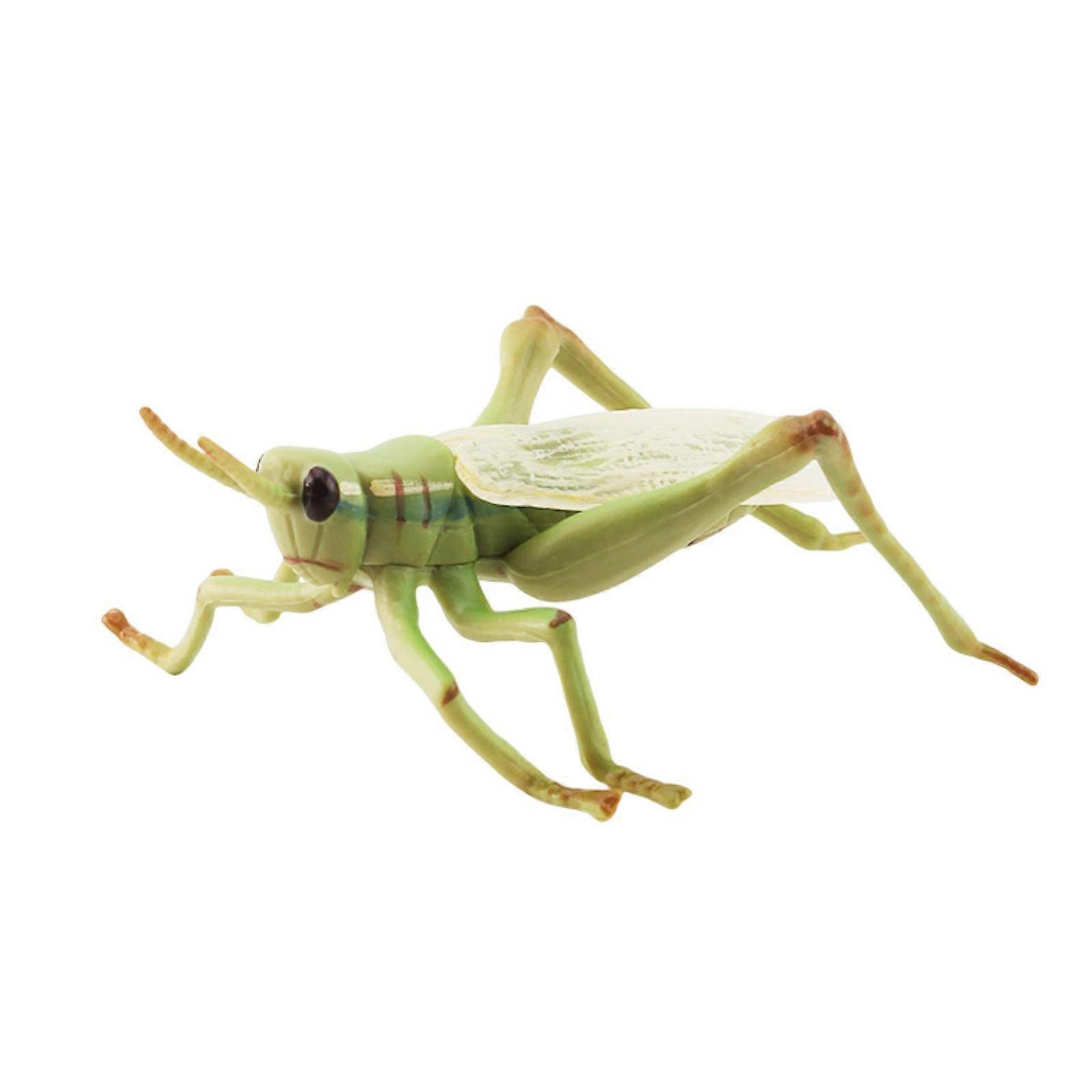 Insect Model Vivid Look Grasshopper Dragonfly Frog Miniature Figurine ...