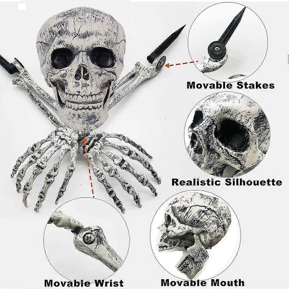 Realistic Skeleton Bones Skull Head And Hands Halloween Skeleton ...