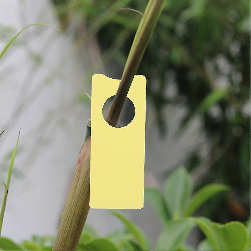 350Pcs Fruit Plant Label Garden Flower Tree Name Tag Marker Garden ...