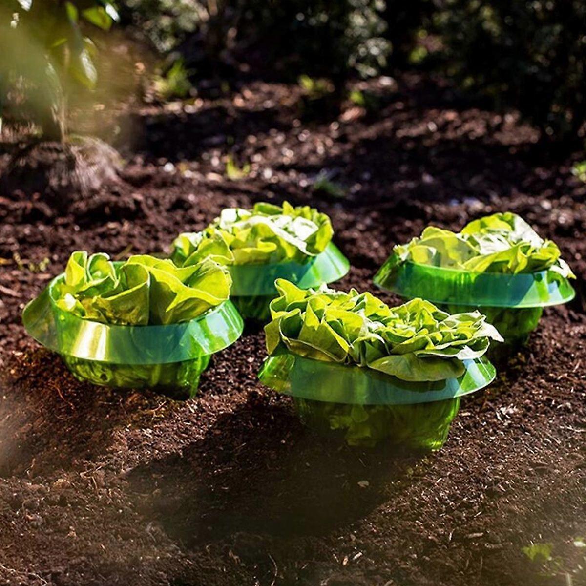 6pcs protection slugs vegetables covers plant snail collar guard garden ...