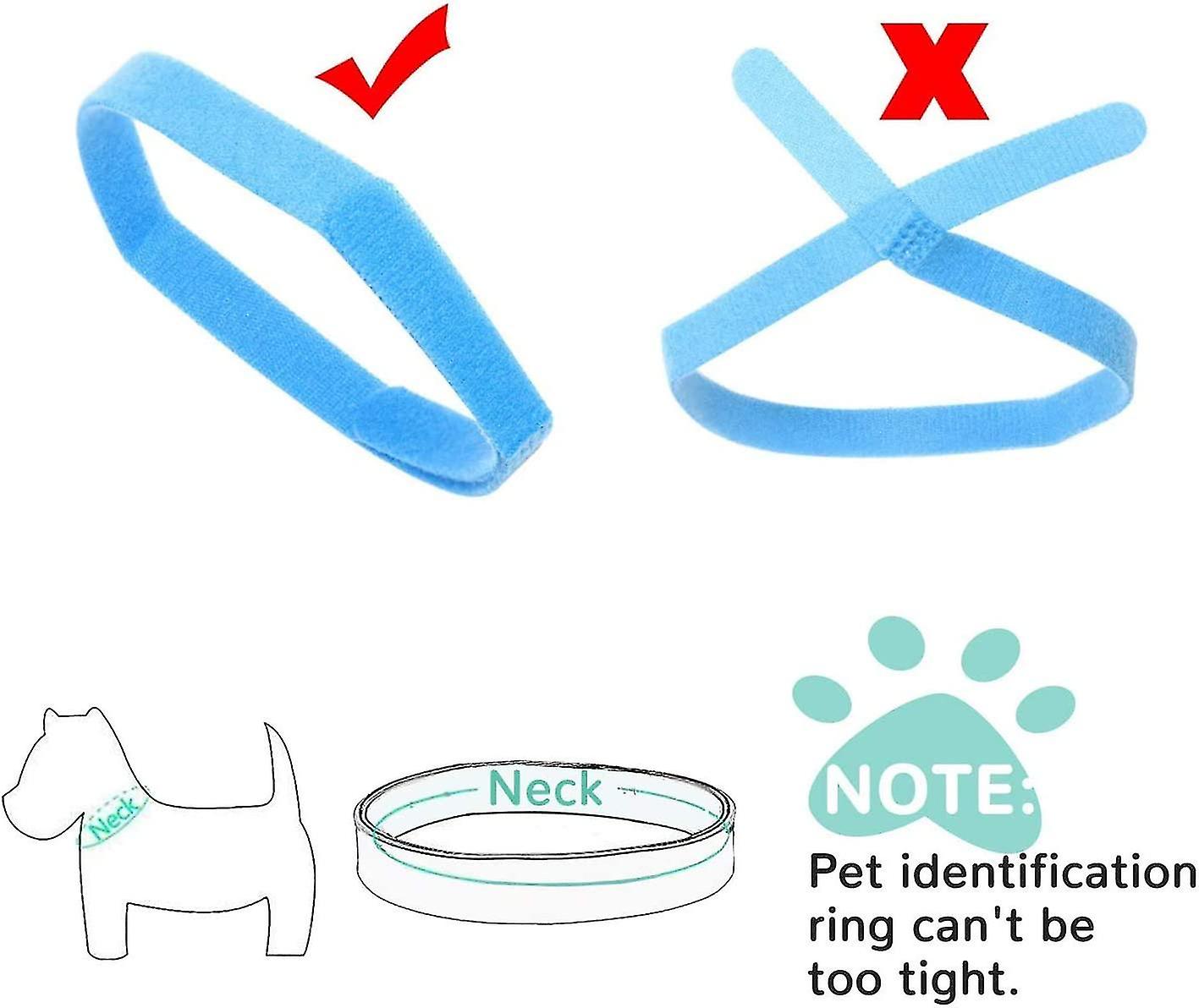 Puppy Identification Necklaces, Puppy Id Necklace, Puppy Necklaces ...