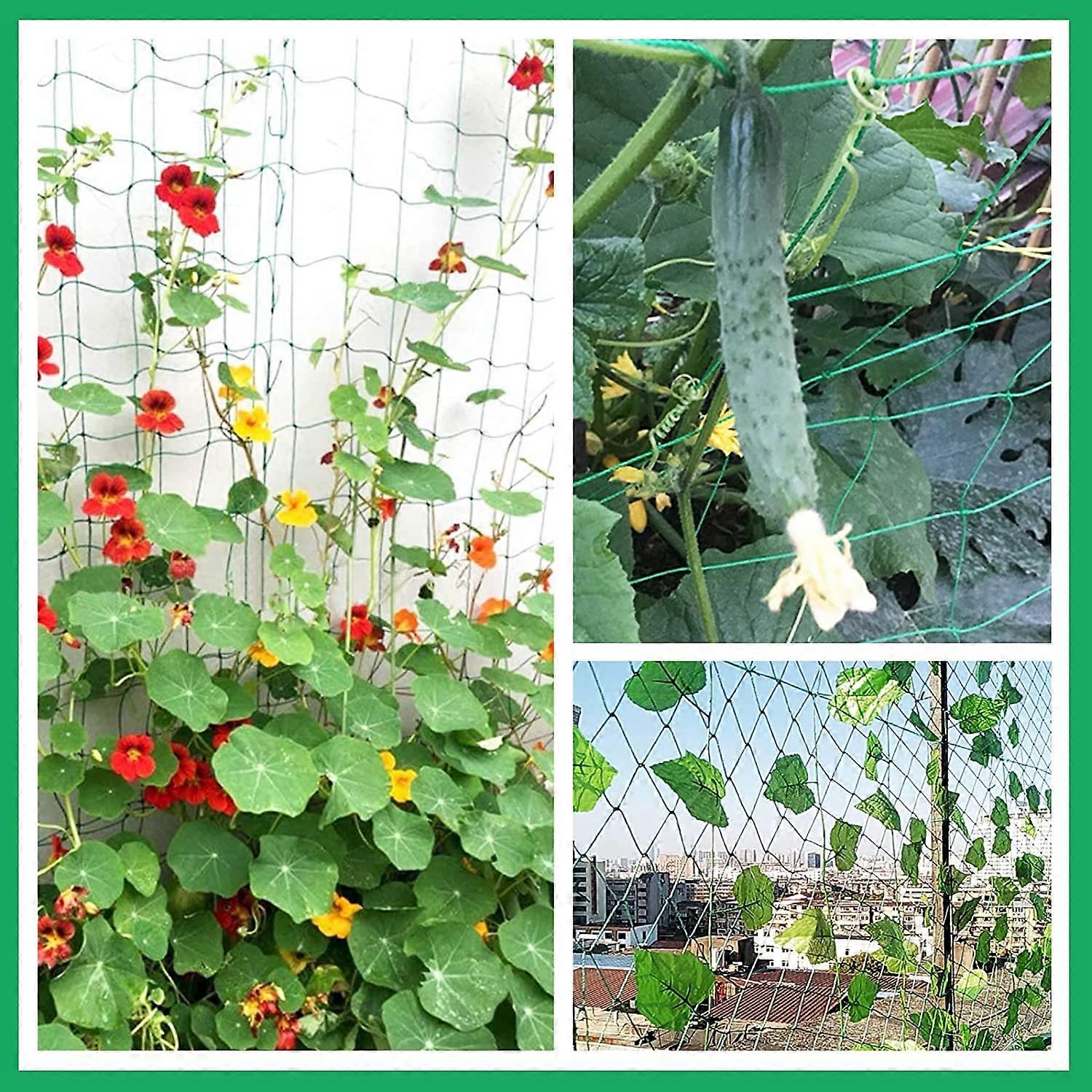 3.6 x 1.8 meter garden flower net nylon flower net plant support pea ...