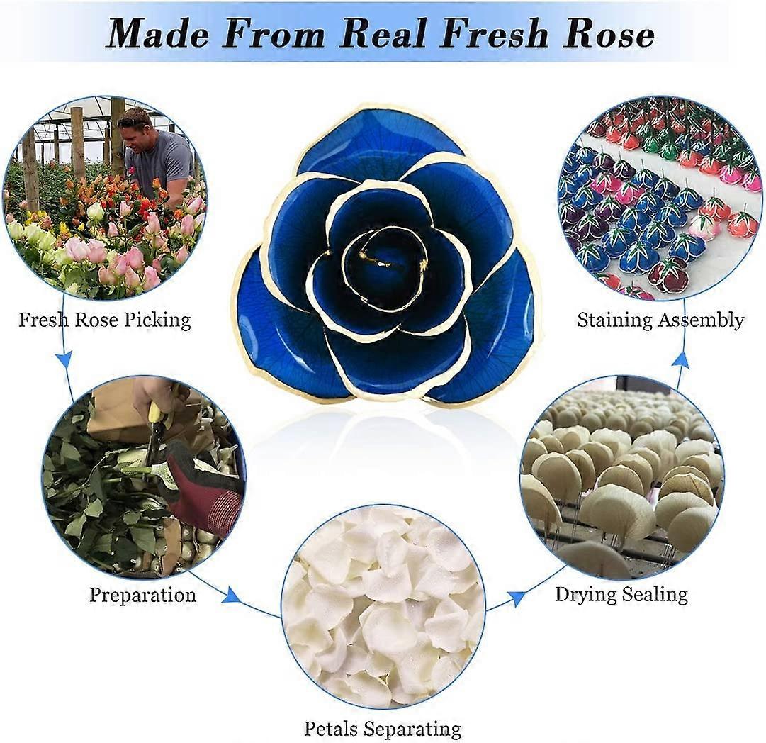 24k Gold Rose Flower with Long Stem Real Fresh Rose Dipped in Gold ...