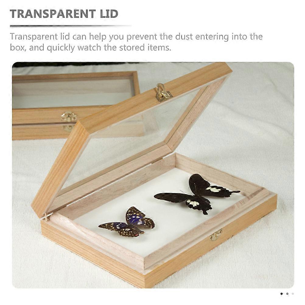 Glass Display Case Butterflies Shadow Box Specimen Display Case ...