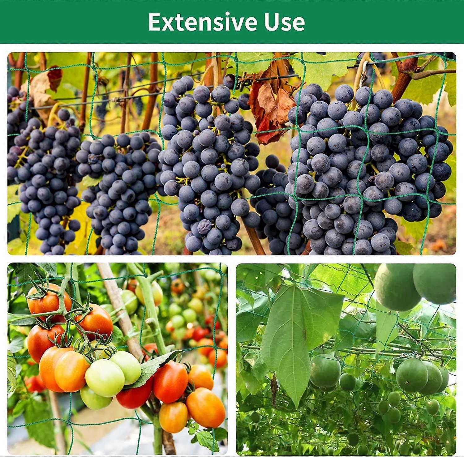 3.6 x 1.8 meter garden flower net nylon flower net plant support pea ...