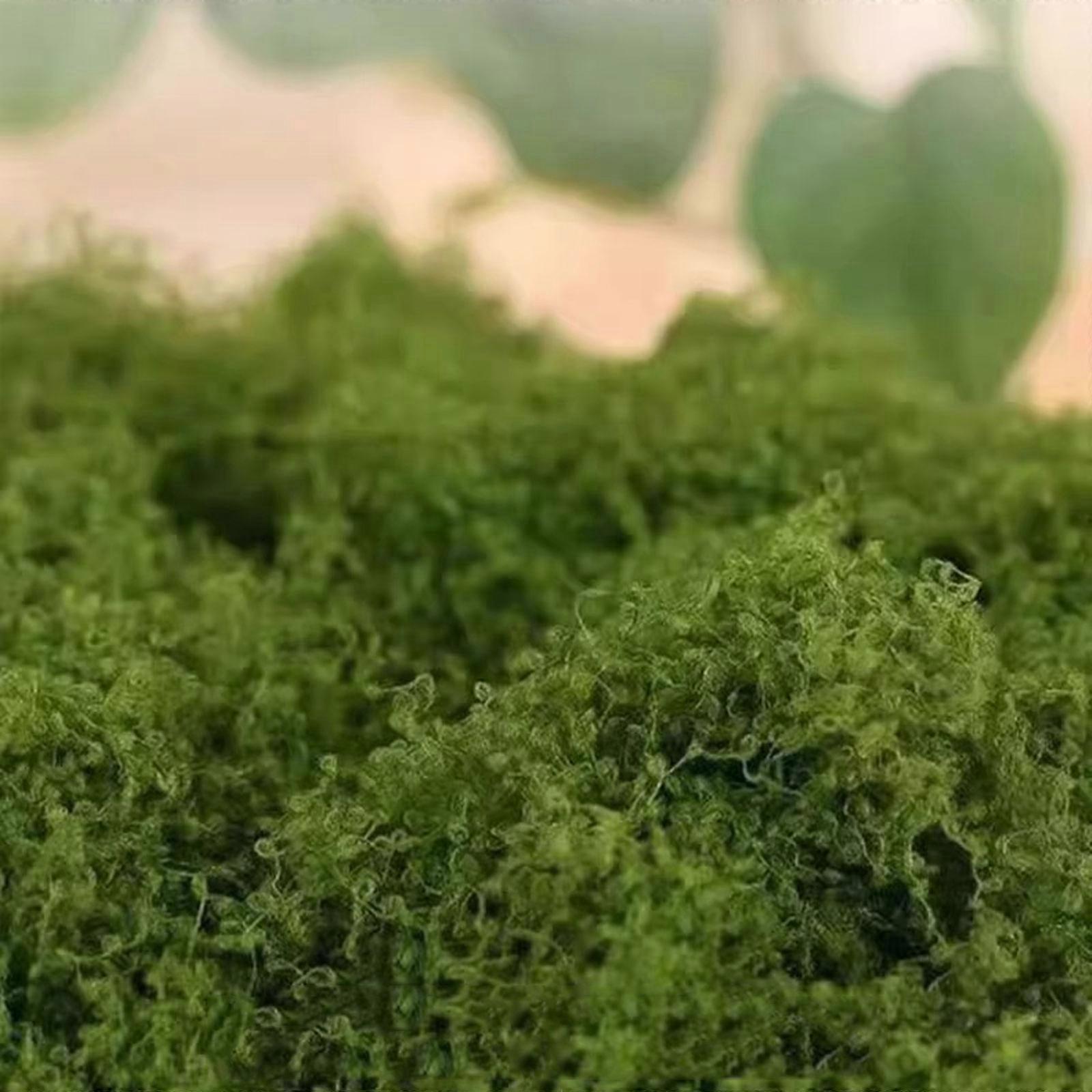 Artificial Decorative Moss for Christmas Terrariums Decorations Potted ...