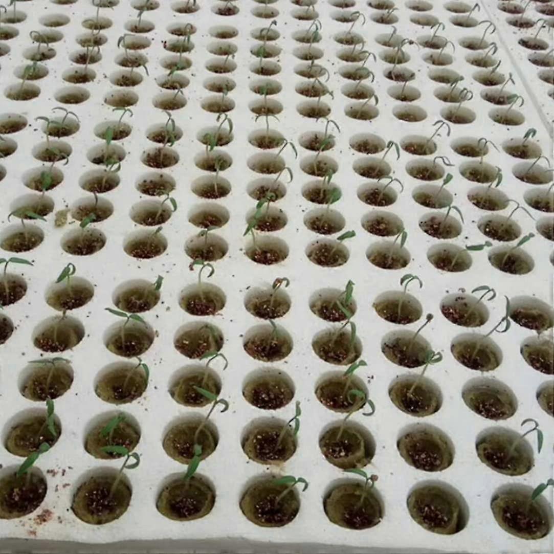 Cube Breeding Hydroponic Block Vegetable cylindric Plant greenhouse ...