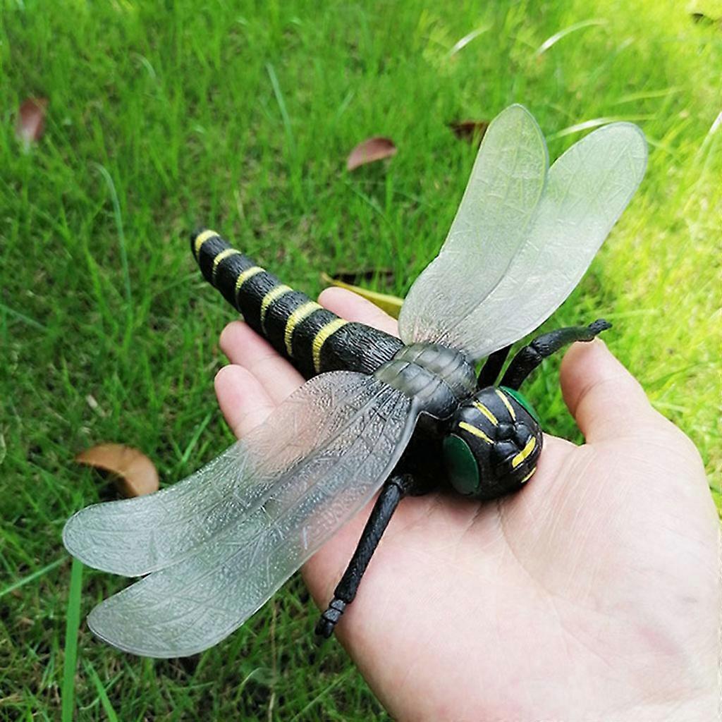 Insect Simulation Model Toys Simulation Wildlife Model Ornaments Creepy ...