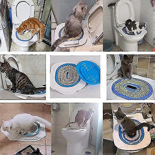 Chdz Cat Training Kit System For Toilet Professional Kitty Toilet ...