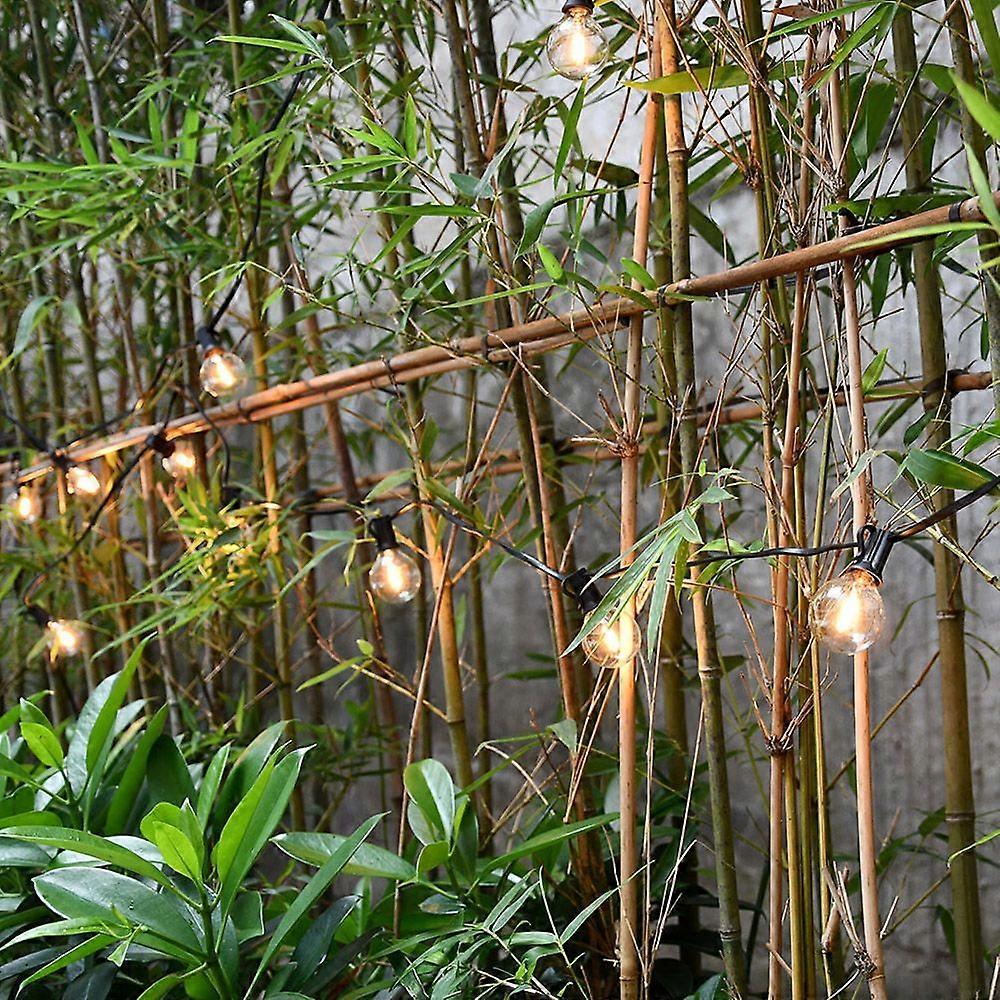 Tomshine AC220V-240V 21.33ft E12 Base G40 LED Fairy String Light No ...