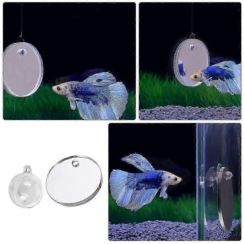 1 Set of Fish Tank Floating Mirror Betta Tank Mirror Floating Betta ...