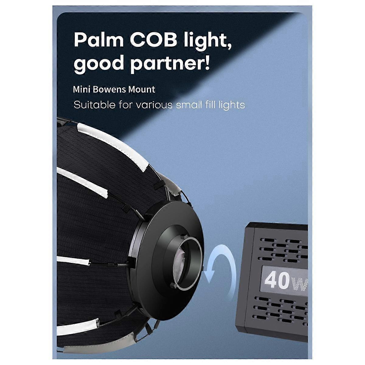 30cm Octagonal Softbox Mini Bowens Mount Quick Release Honeycomb Grid ...