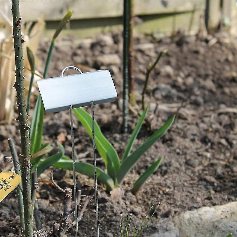 25 Packs Of Metal Plant Labels, Garden Flower Potted Plant Signs ...