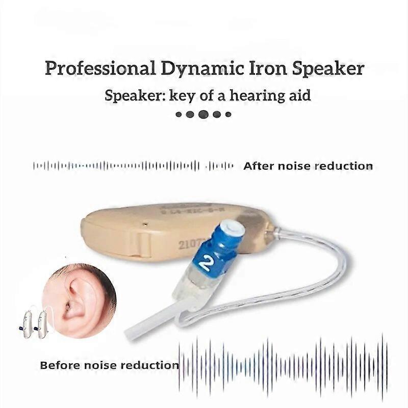 A Pair of 12-channel AcoSound Hearing AIDS Mini Digital RIC Hearing Aid ...