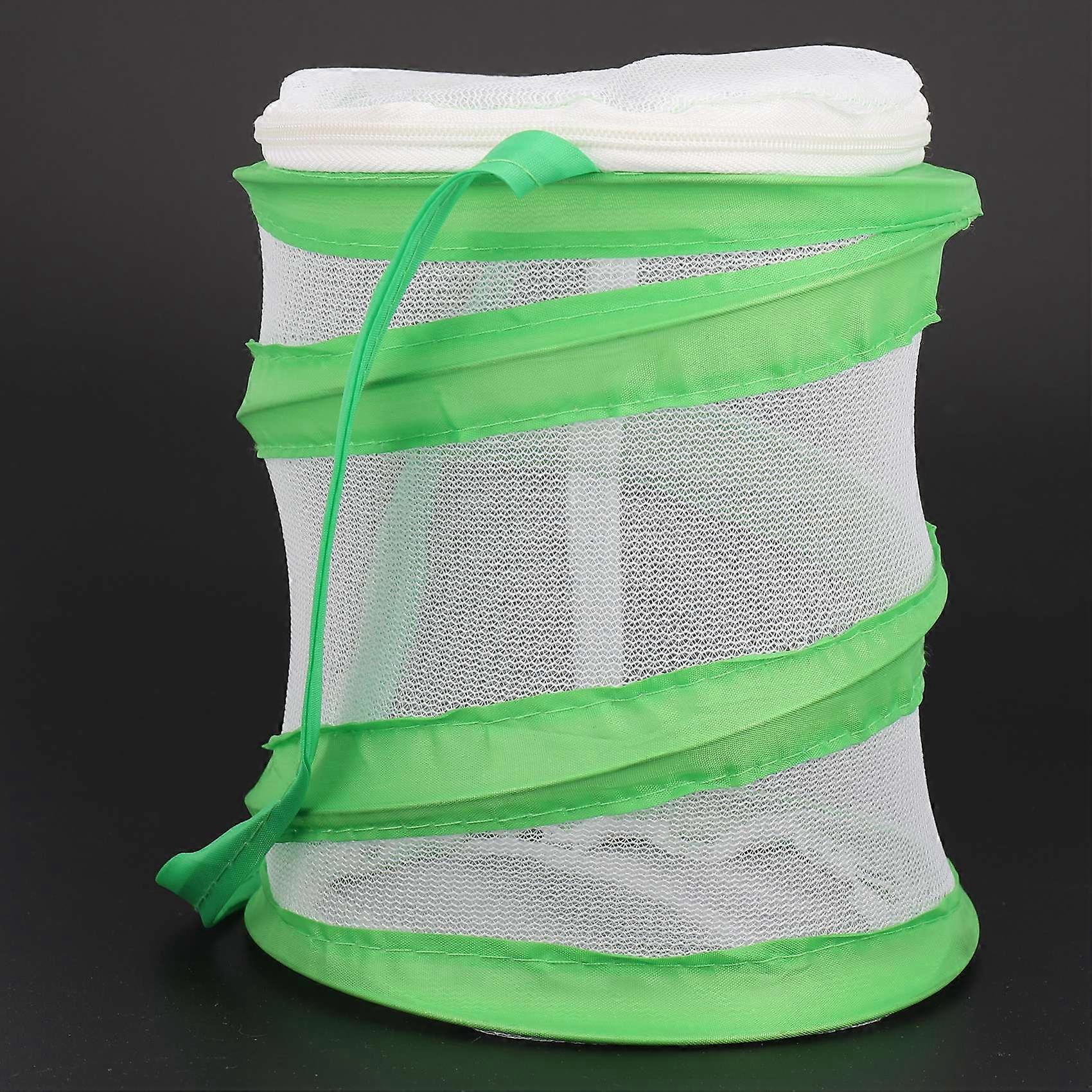 Small Praying Stick Insect Butterfly Pop-up Cage Housing Enclosure ...