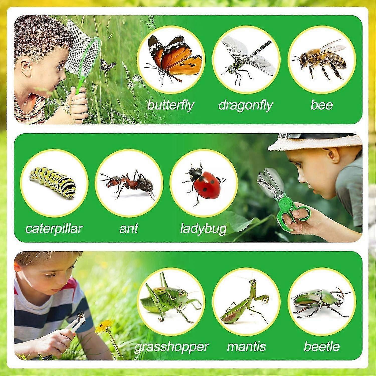 Exquisite2 Set Bug Catcher for Kids,Sturdy Kids Bug Catching Kit Gifts ...